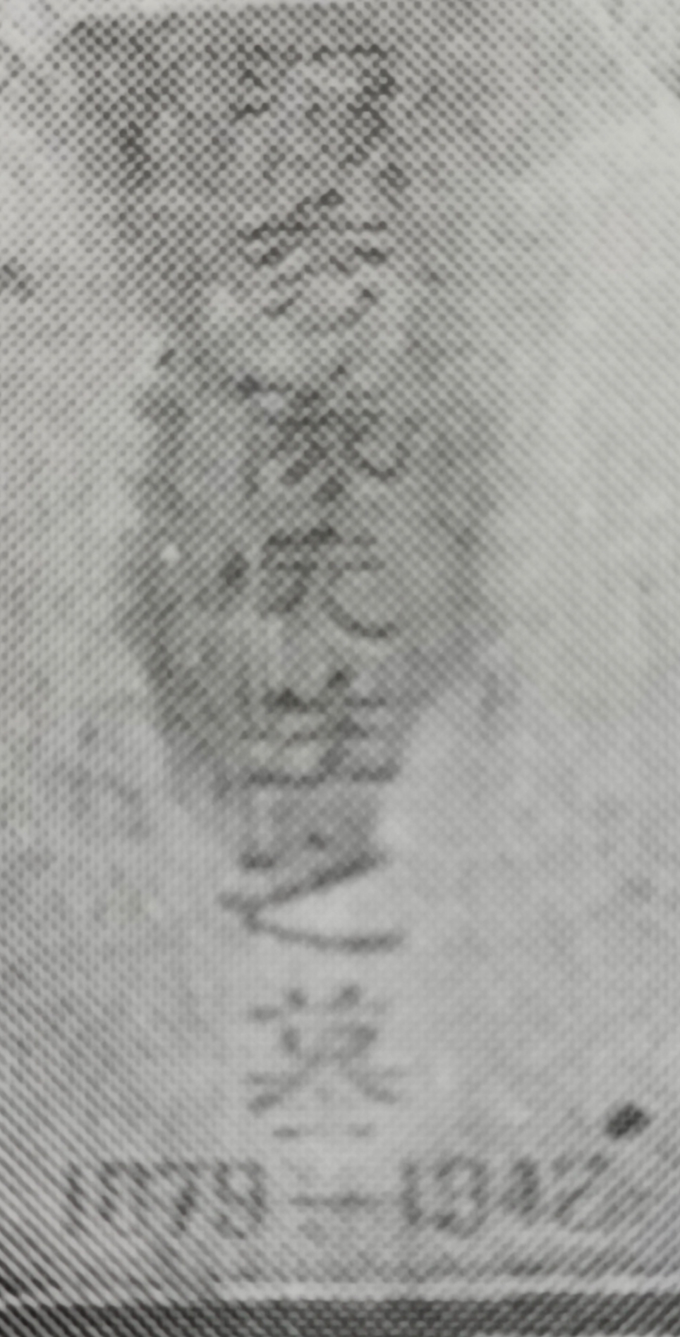 Chen Duxiu's Jiangjin tombstone inscribed Ge Kangyu, a little-known ...