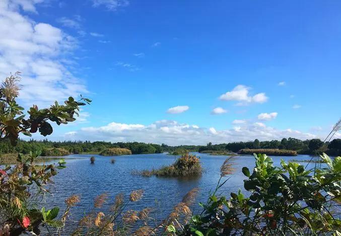 Haiwei Wetland Park, the top ten scenic spots in Changjiang: the ...