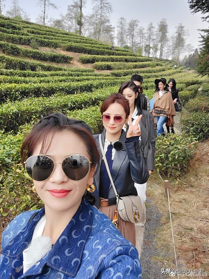 "Wife 5" exclusive group photo, 42-year-old Liu Tao and Qin Hailu, look ...