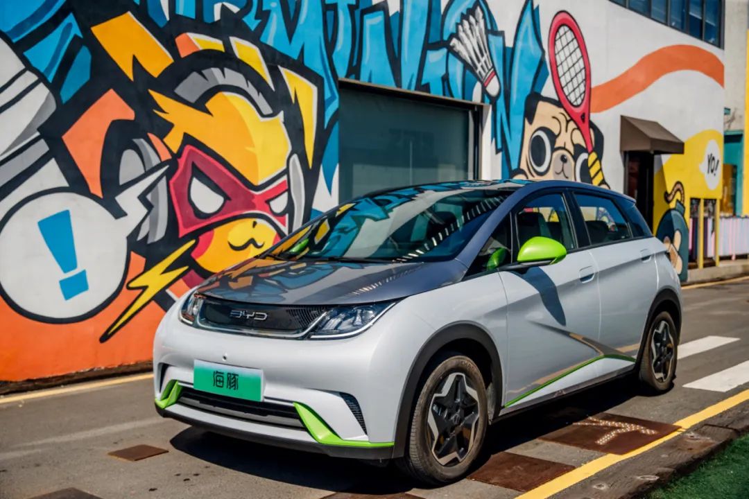 Test drive the BYD Dolphin designed by ocean aesthetics as "smart and ...