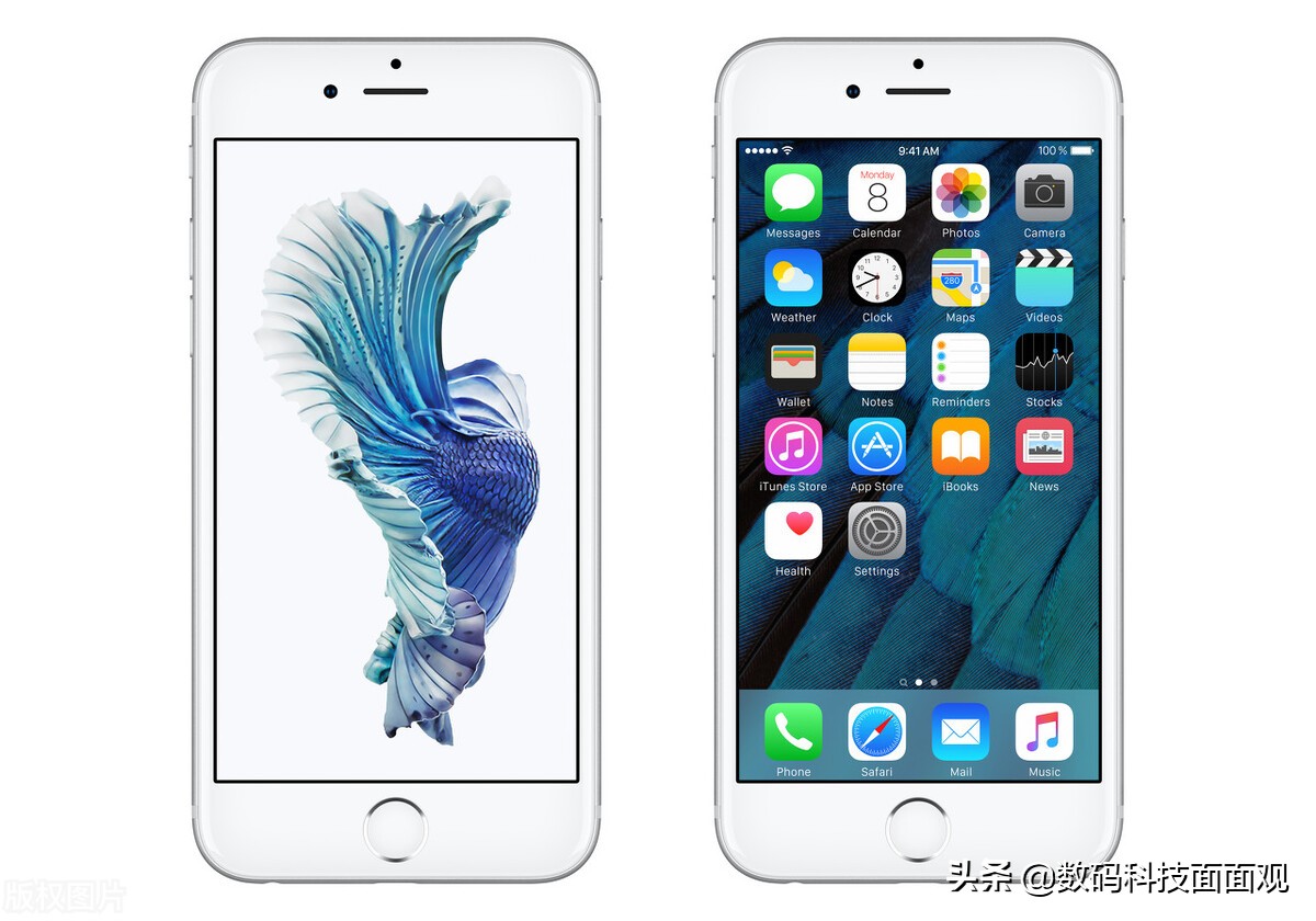 New iPhone SE exposed, equipped with Apple A15 chip, mass production in ...