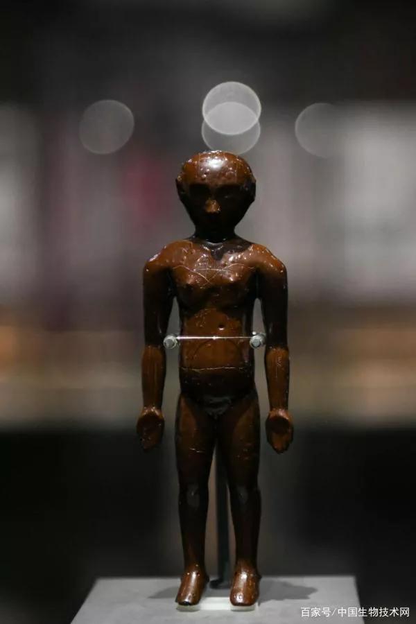 The meridian lacquer man over 2000 years ago revealed the secret of the ...