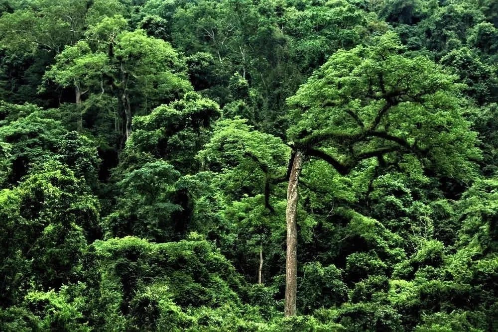 The most powerful ecosystem on earth, count the macro and micro ...