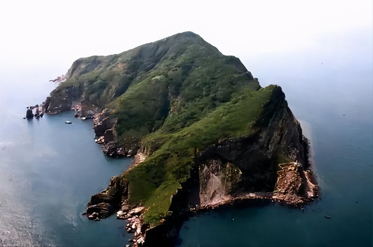 Why are there so many venomous snakes in Dalian Snake Island?More than ...