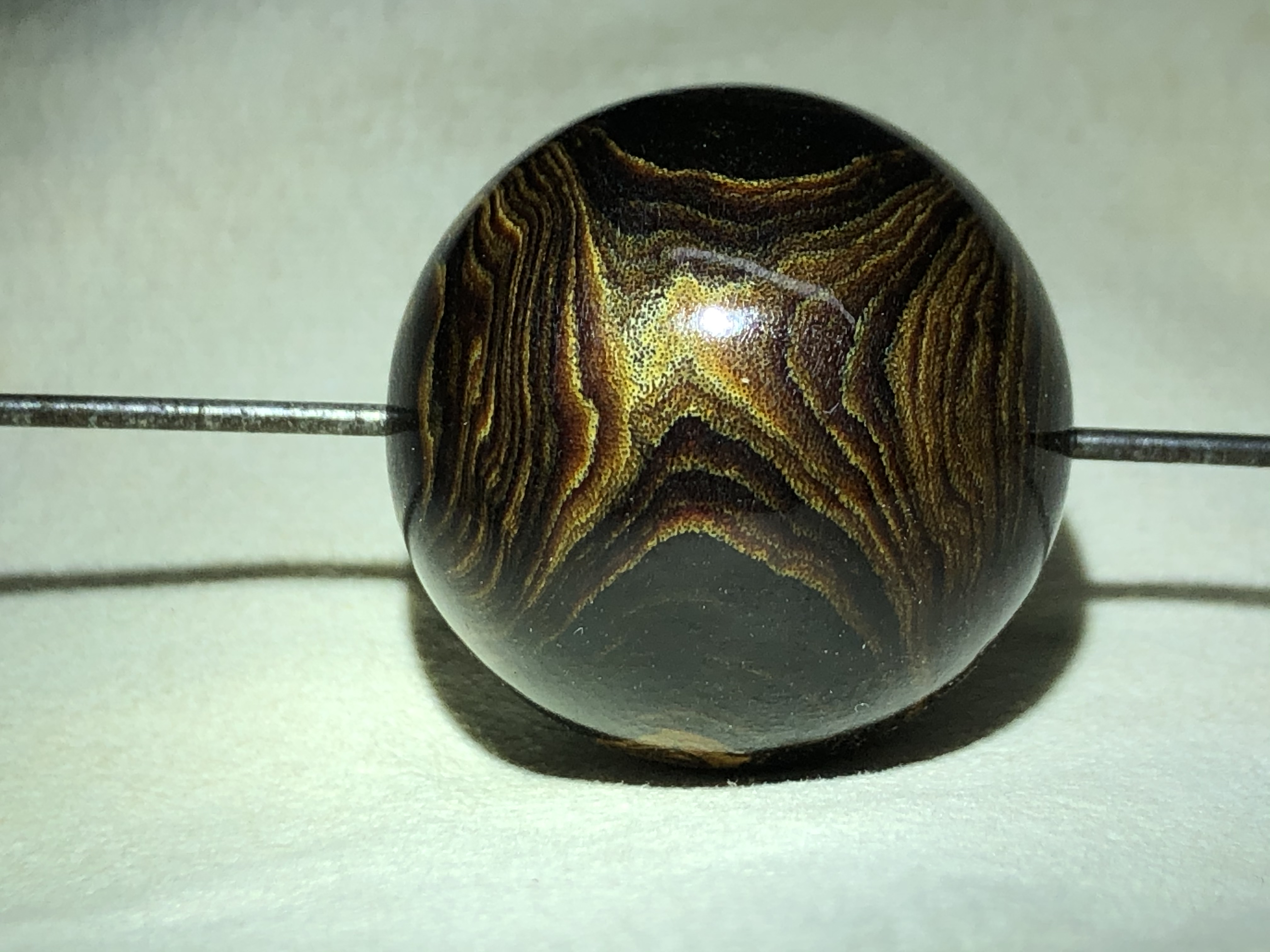 The unique pattern of the golden wood "sea willow" in the sea - iNEWS