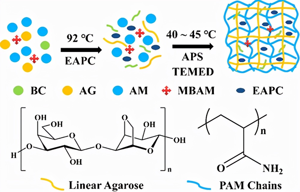"Langmuir" Renmin University Zhang Xiaogang/Wang Yapei: Self-shaped ...