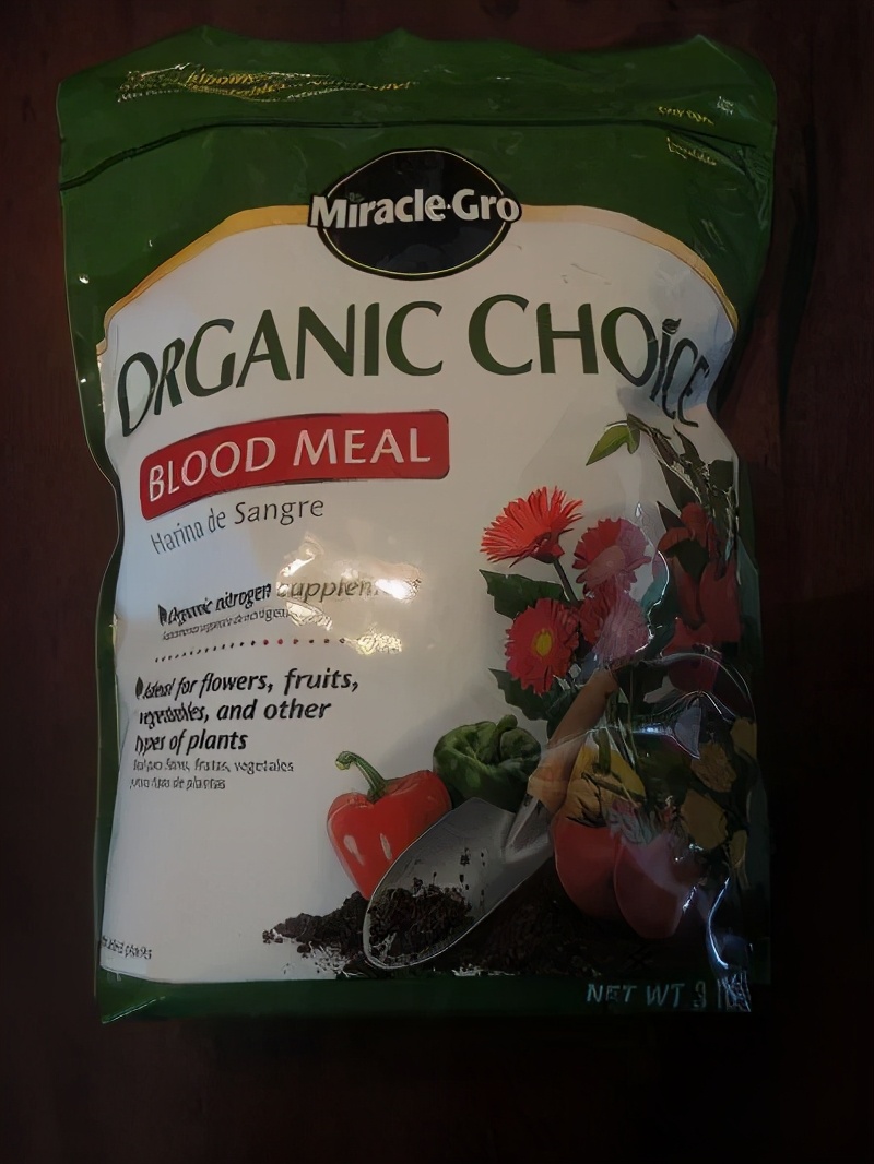 Hard duck blood VS soft duck blood, which is the real duck blood? - iNEWS