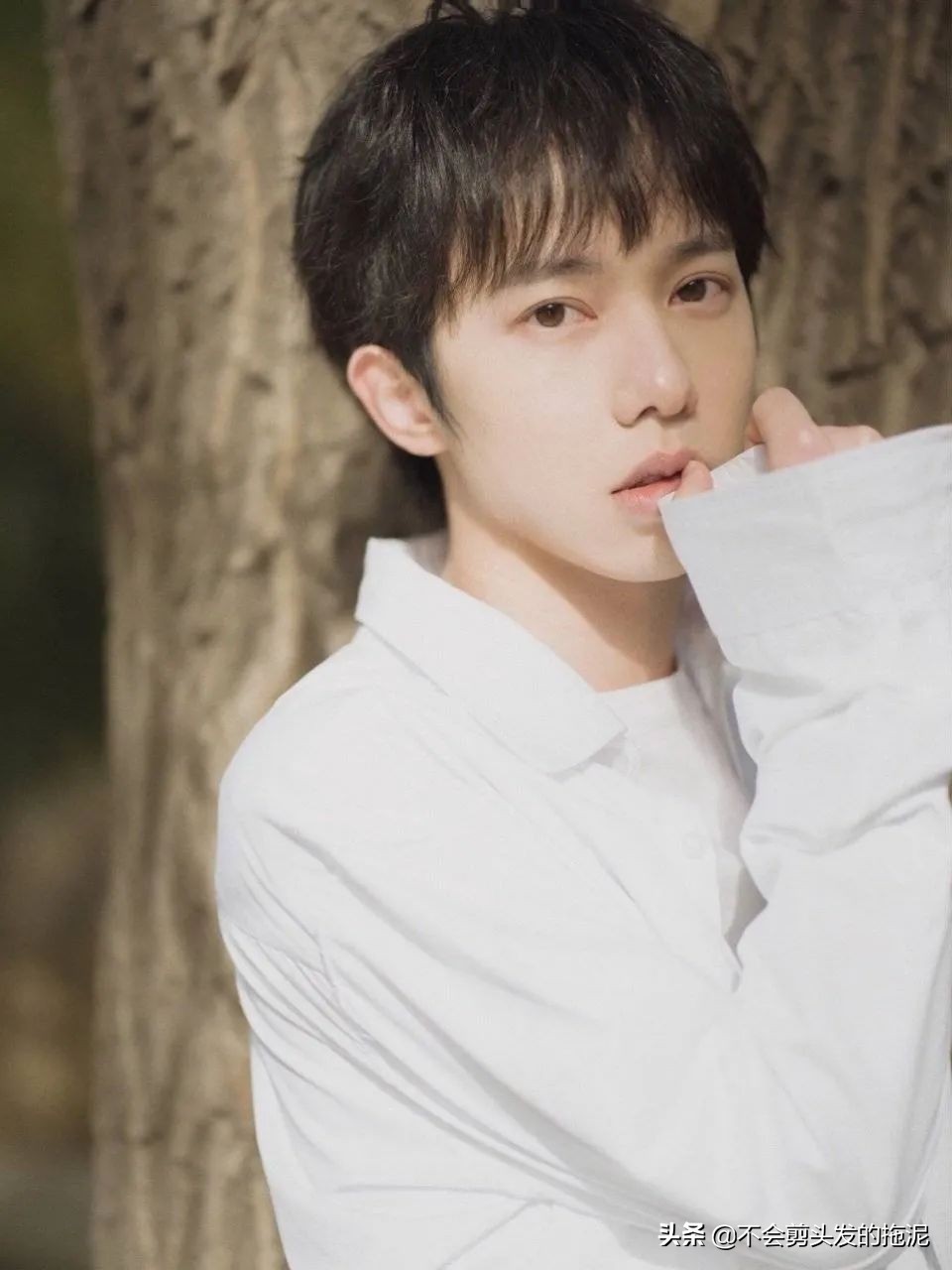 Gossip broke the news: Nai Wan, Ouyang Nana, Liu Haoran, Tao Xinran Gai ...