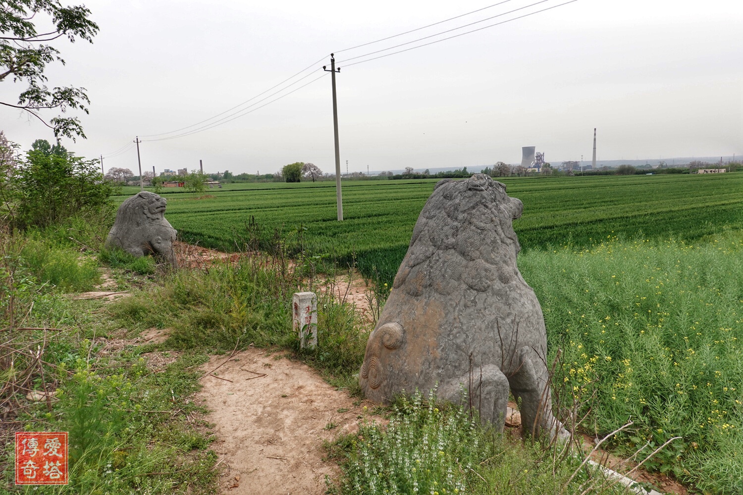 Song Taizong Zhao Guangyi Yongxi Mausoleum - iNEWS