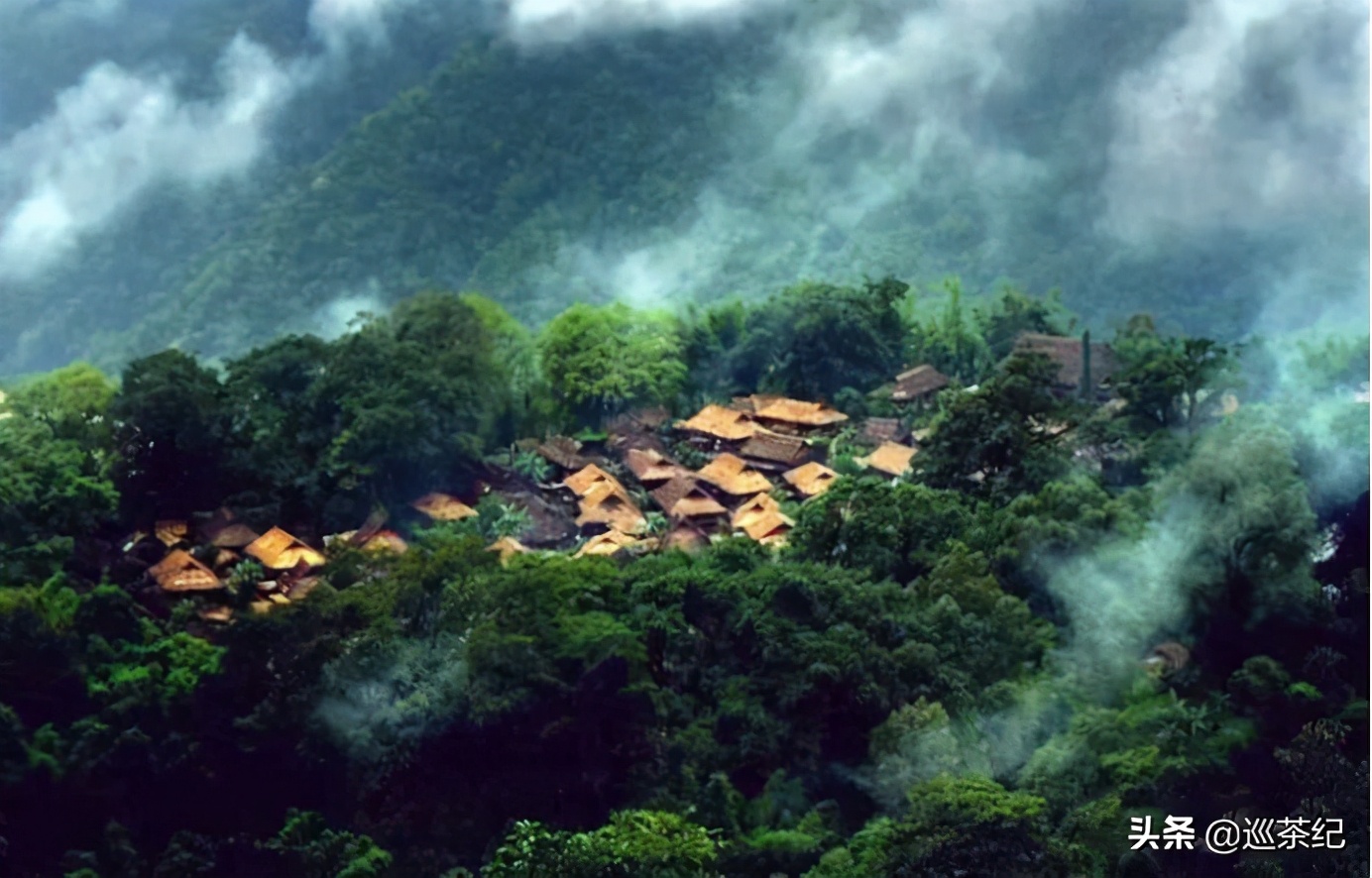 Seeking the "Source" of Tea·The Last Secret Land of China-Lincang - iNEWS