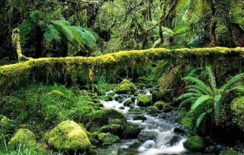 The only purely female tribe in the world, without a man, relies on a ...