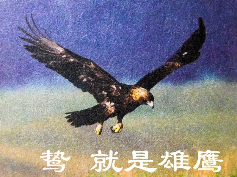 The Seventeenth Chapter of "The Biography of Xu Zhao Qin": Master Shao ...