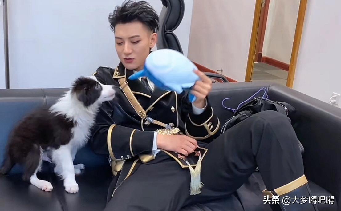 People are not as good as dogs series?Huang Zitao also brings his dog ...