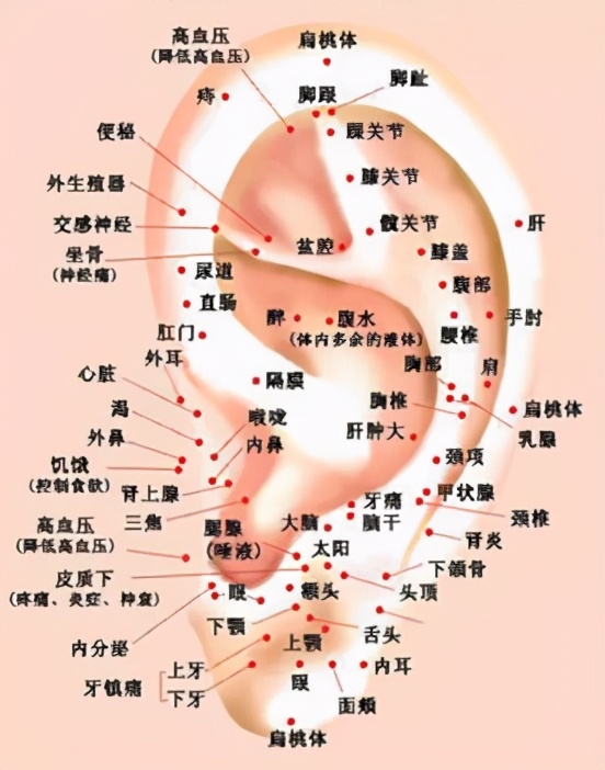 Magic ear points - iNEWS