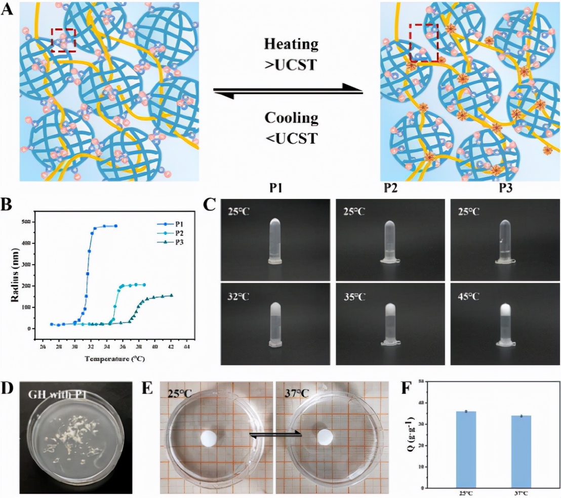 3D bioprinted "all-in-one" zwitterionic particle hydrogel bio-ink - iNEWS