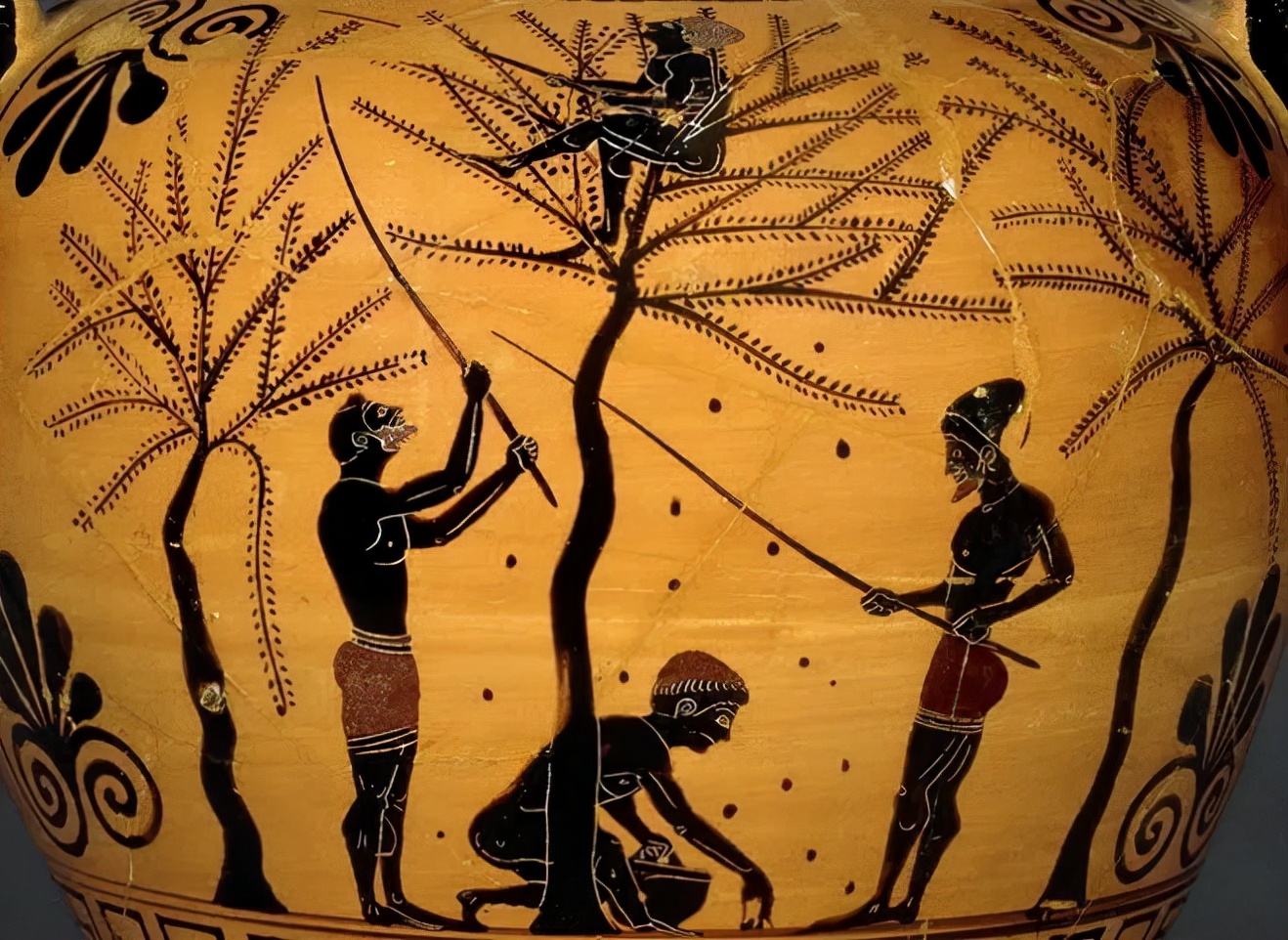 Healthy diet: What did the ancient Greeks eat every day? - iNEWS