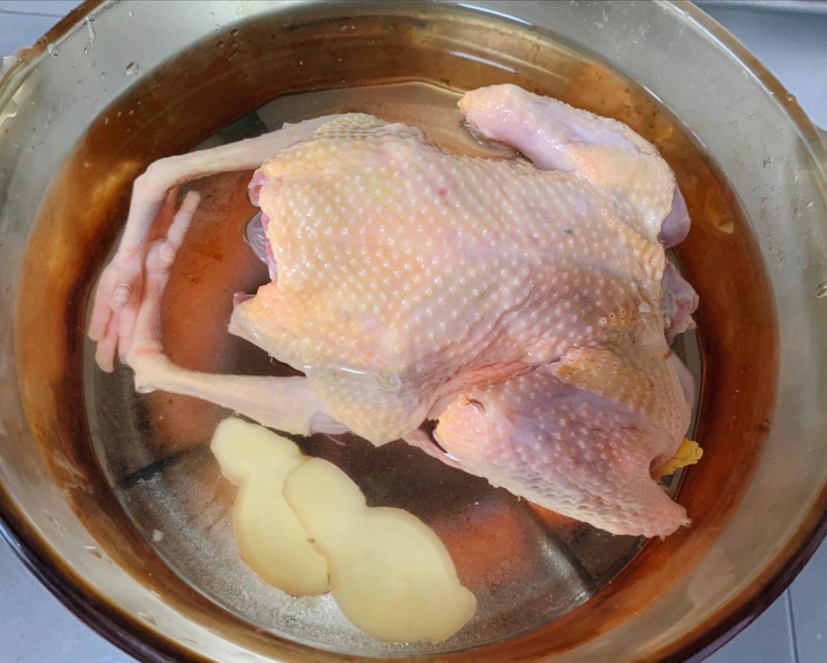 When stewing pigeon soup, do you use old pigeons or young pigeons?Teach ...