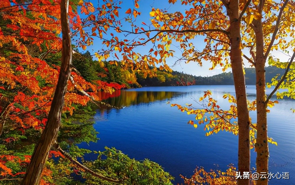 Du Mu's very unpopular two poems and seven unique poems, expressing his ...