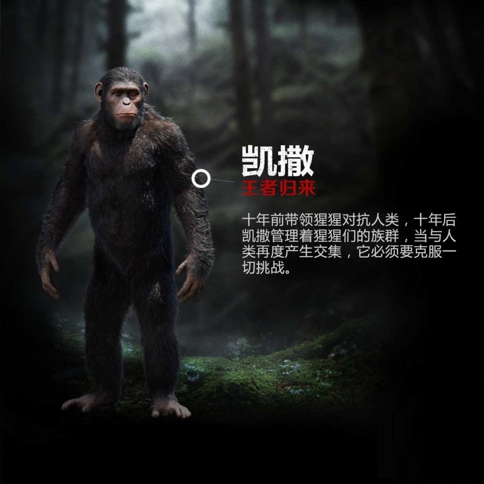 Watch "The Rise of the Apes" and talk about the "close relatives" of ...