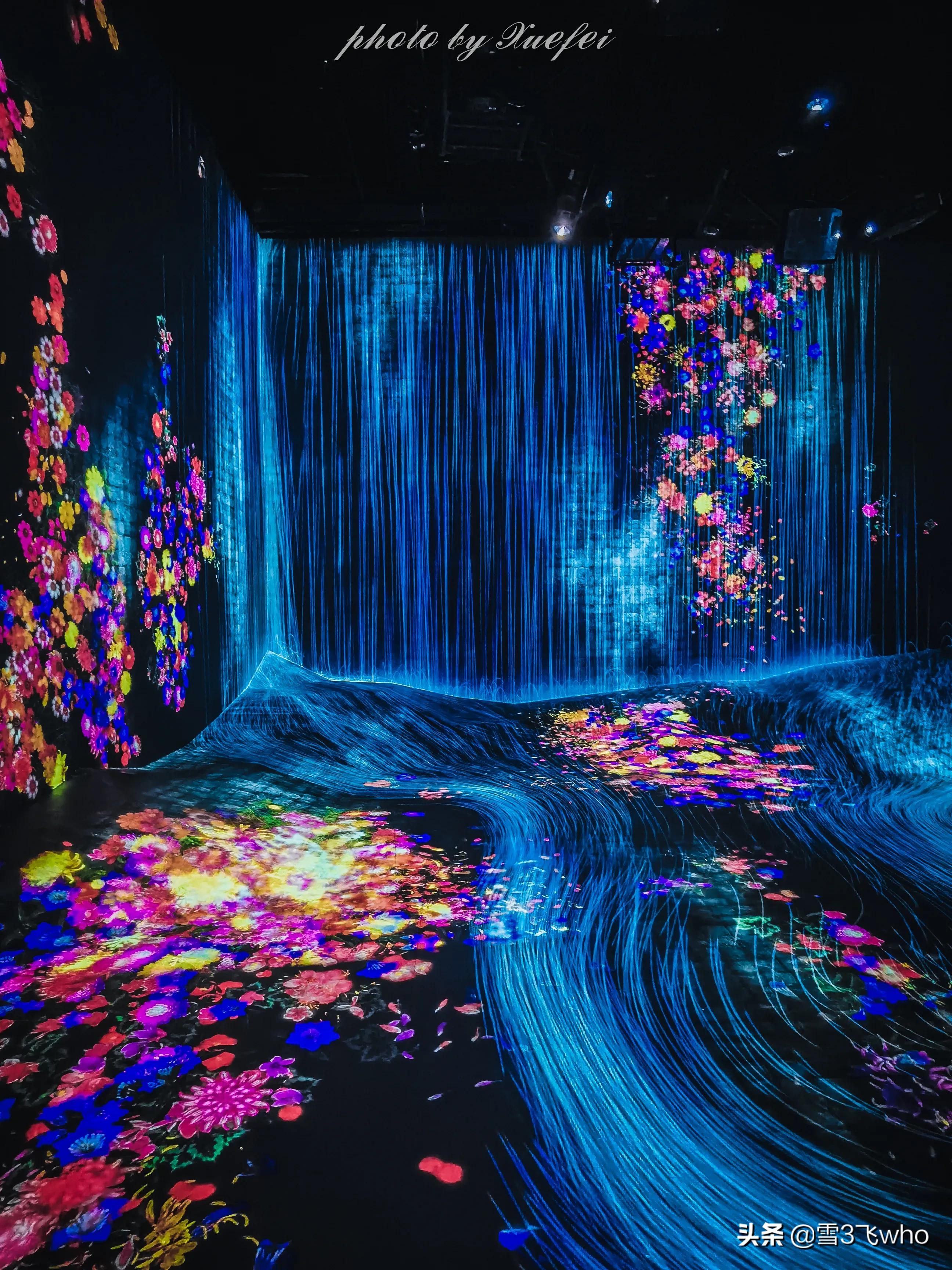 teamLab Unbounded Art Museum - iNEWS