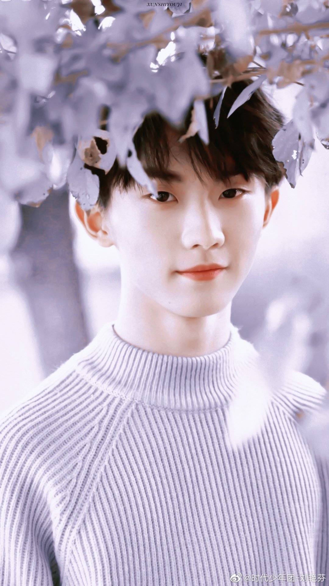 Li Fei admits that Ma Jiaqi is the savior - iNEWS