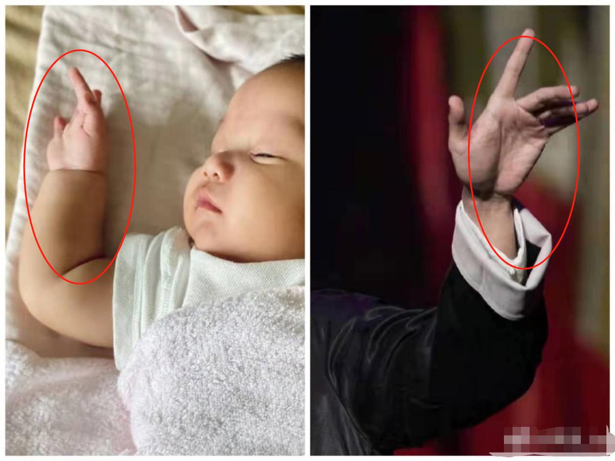 The 52-year-old musician Li Quan likes to be a father, his son has big ...