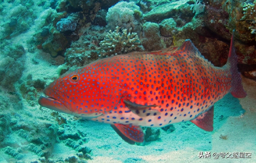 From the 200-meter continental shelf of the shallow sea to the 10,000 ...