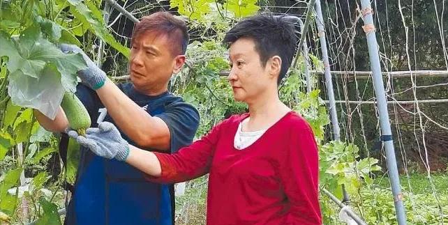 The starring situation of "Myth" is very different: Gao Yao and Yi ...