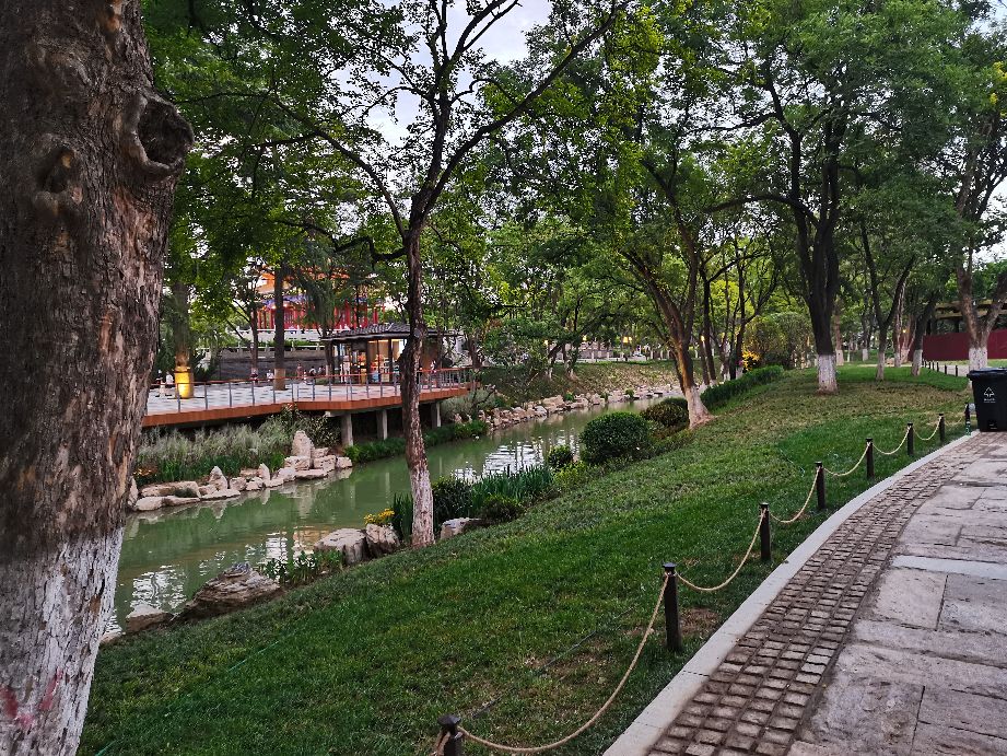 Night tour in Xingqing Park - iNEWS
