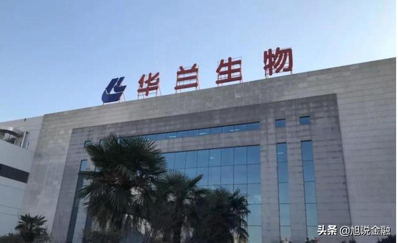 Hualan Biotech's 2018-2020 financial analysis shows that the gross ...