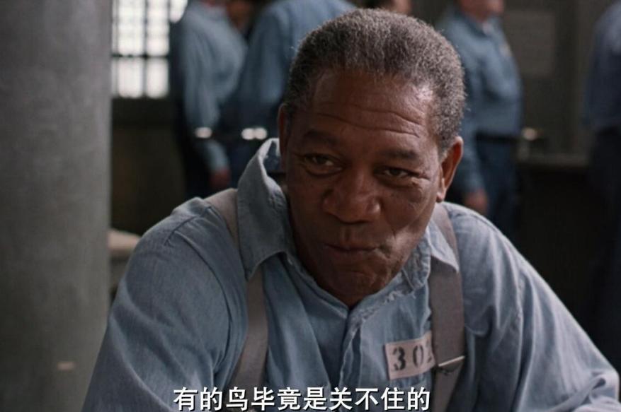 "Shawshank's Redemption" Why did Andy successfully escape from prison ...