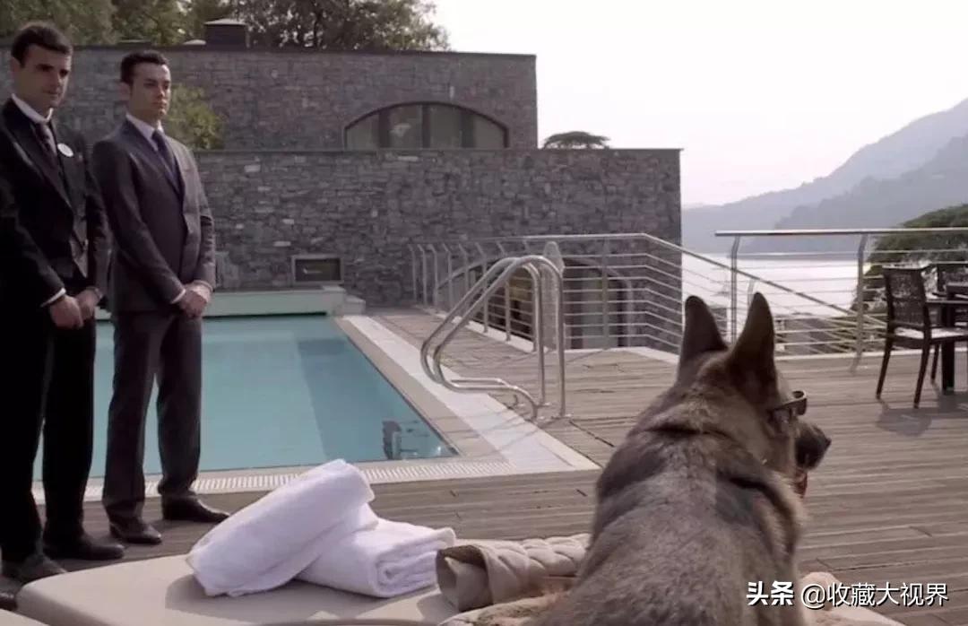 The world-famous "Gunther family" has 28 years of development, with ...