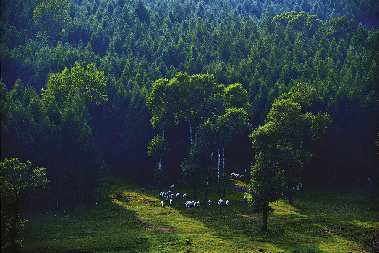 One tree and one autumn, take stock of those "not to be missed in this ...