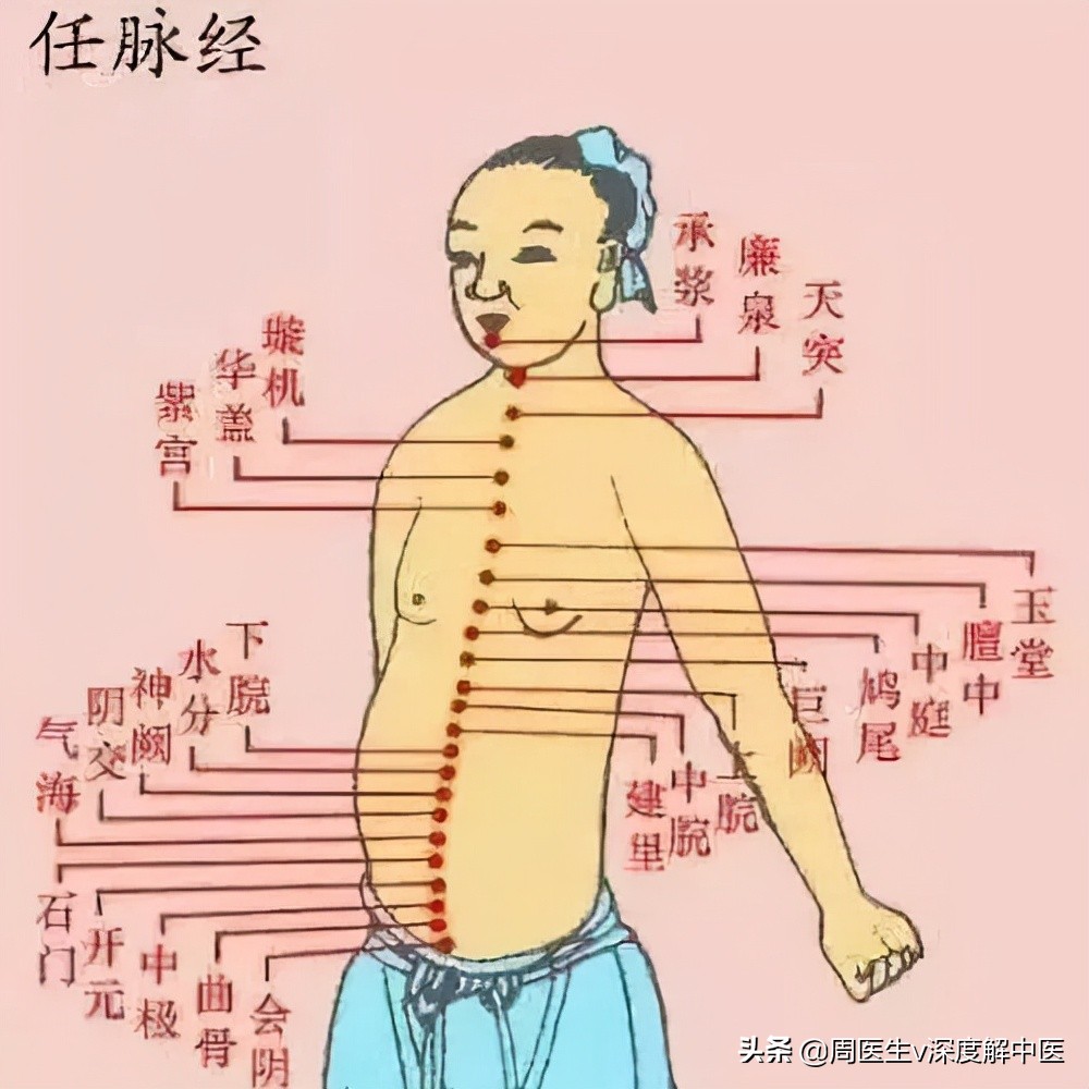 What do doctors think about the two veins of Ren and Du in the real ...