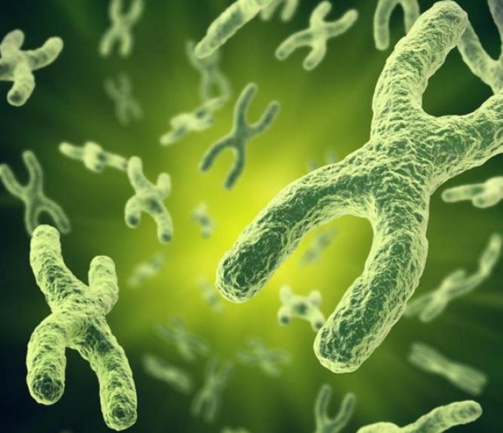 There is no one on the earth, where did humanity come from?Is the first ...