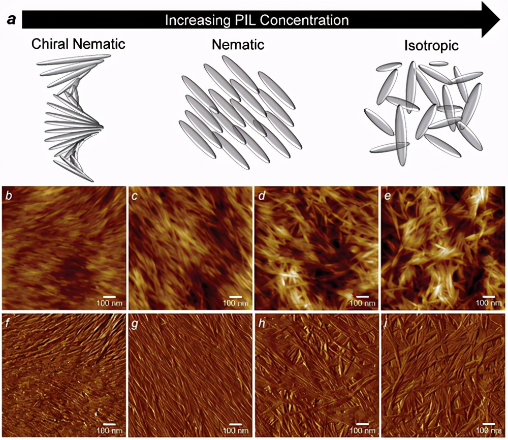 Highly conductive ionic gel with long-lasting shape, derived from ionic ...