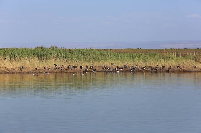 The lowest point of China's volatility: Aiding Lake - iNEWS