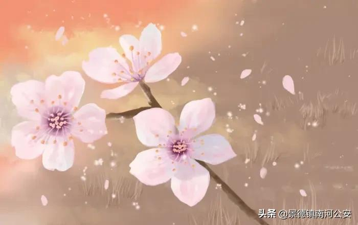 Xi Murong's 15 beautiful short poems: I have come by walking on the ...