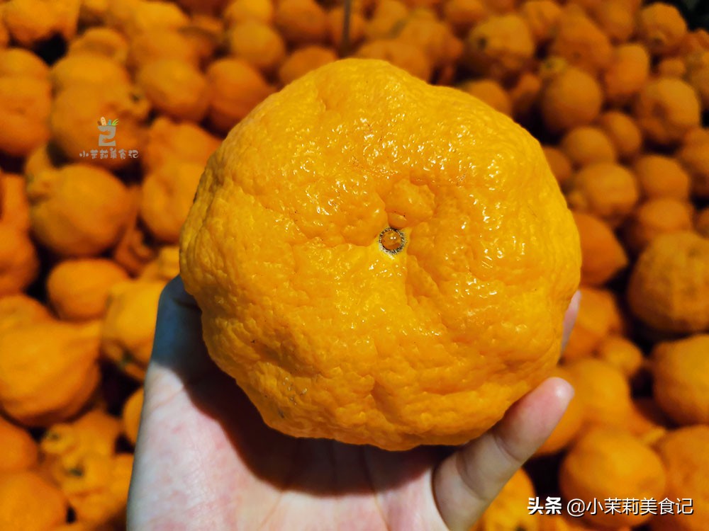 To buy ugly oranges, choose hard or soft?Fruit grower: keep in mind "4 ...
