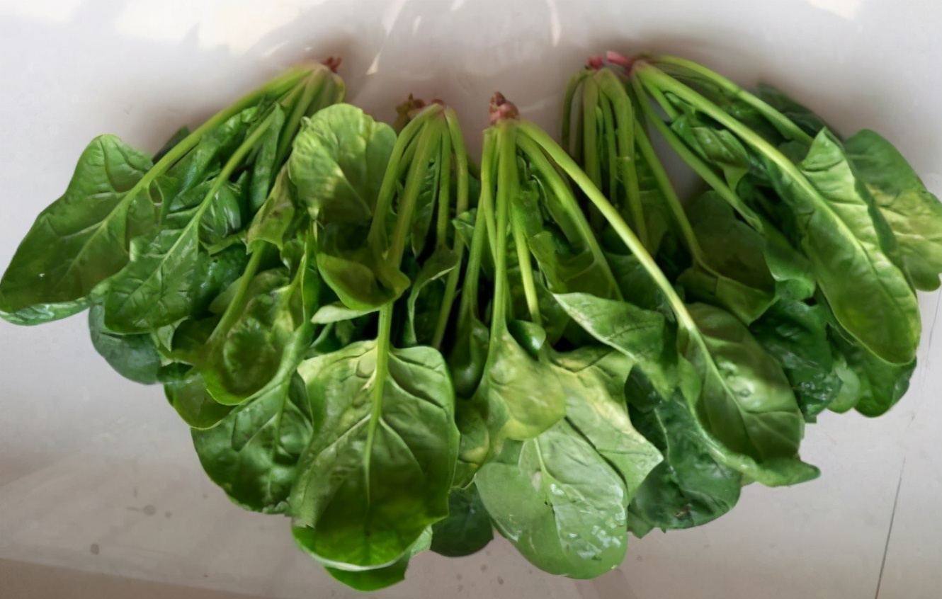 When buying spinach, pay attention to distinguishing "sharp leaves" and ...