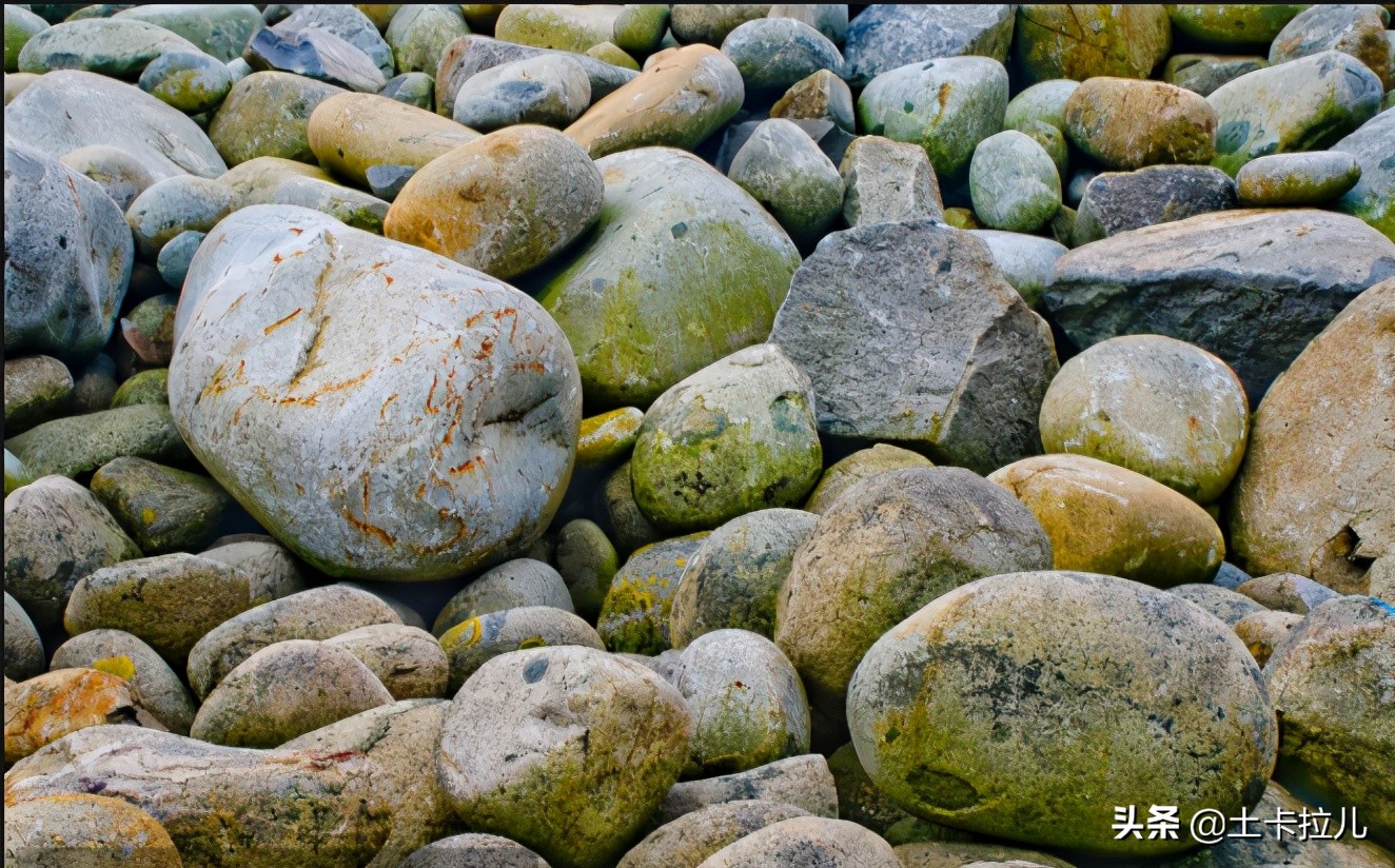 The village of Hubei has sold strange stones for two years, and 7 cents ...