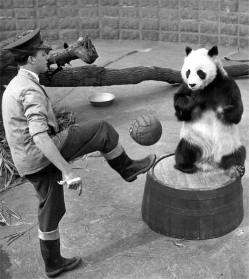 In 1929, President Roosevelt's son fired the first shot to kill a giant ...