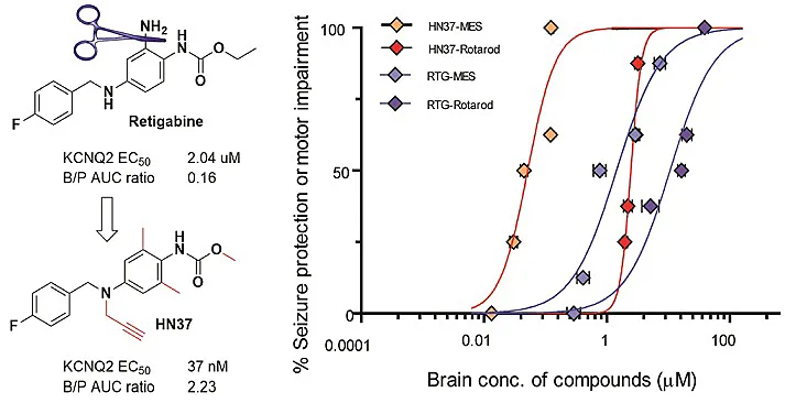 J. Med. Chem: Discovery of HN37, an innovative anti-epileptic drug ...