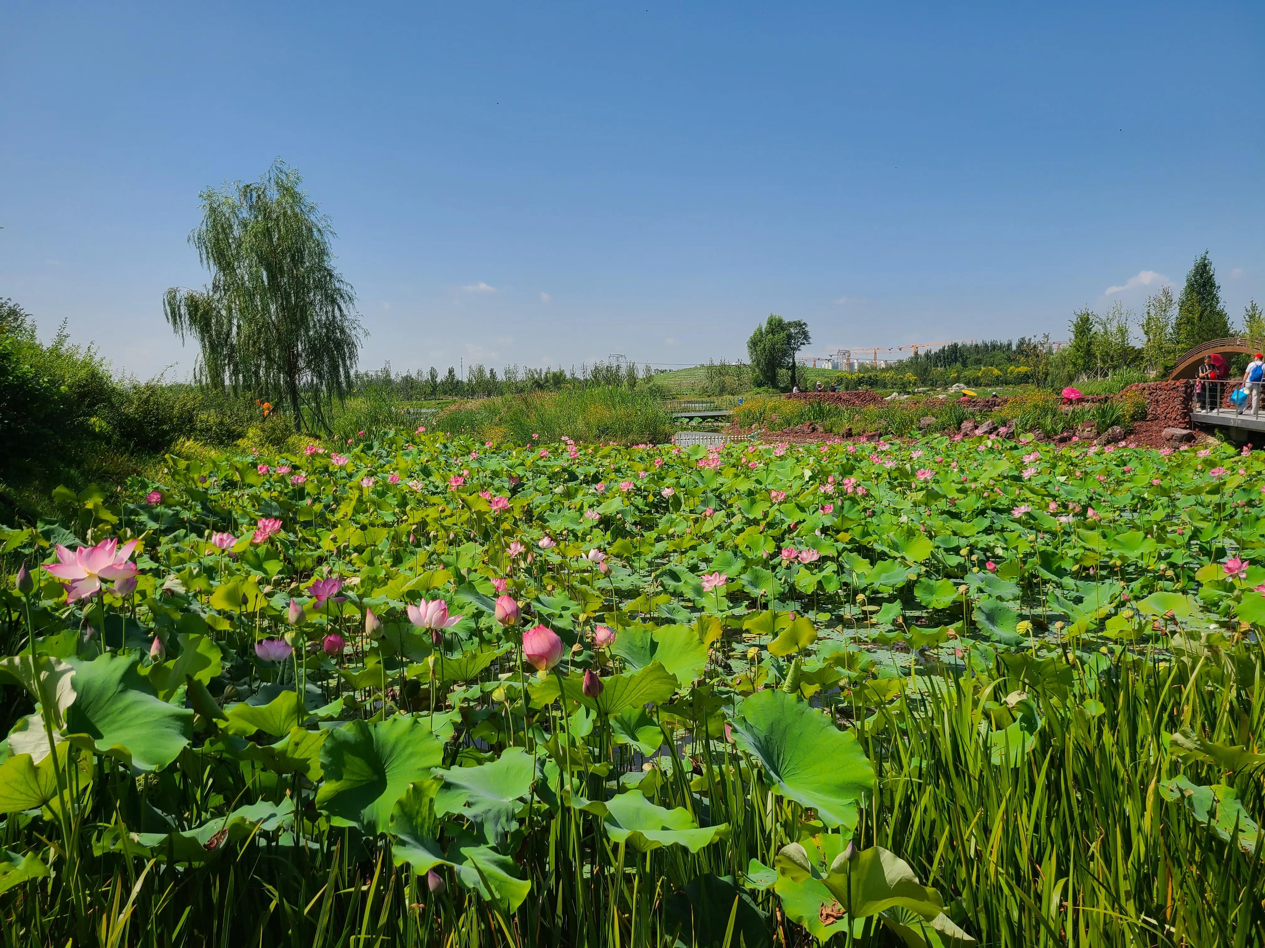 Tour Beijing Wenyu River Park - iNEWS