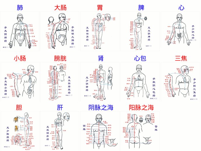 Dr. Wang shared: There are 365 acupoints in the human body, these 5 ...