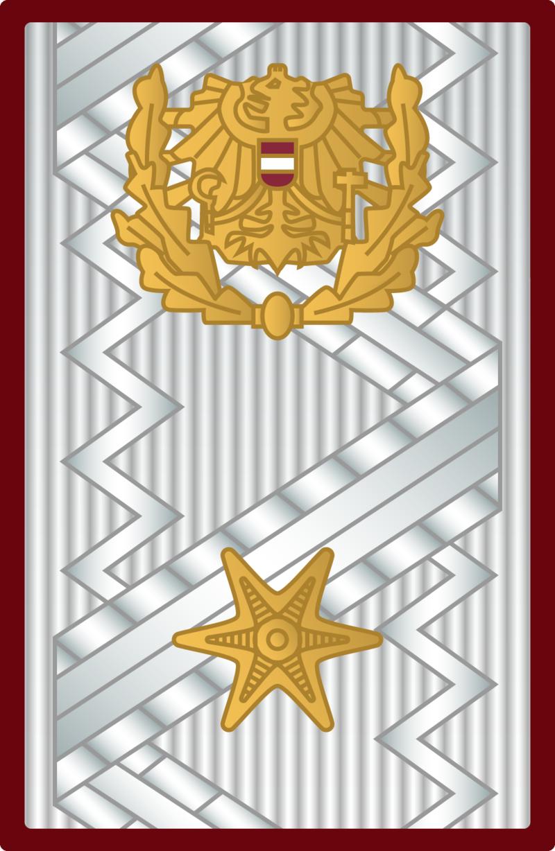 Austrian police rank mark - iNEWS