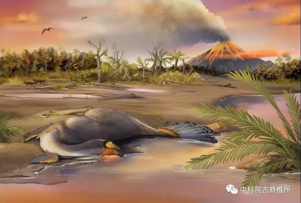 Is it possible to restore dinosaurs with DNA extracted from dinosaur ...