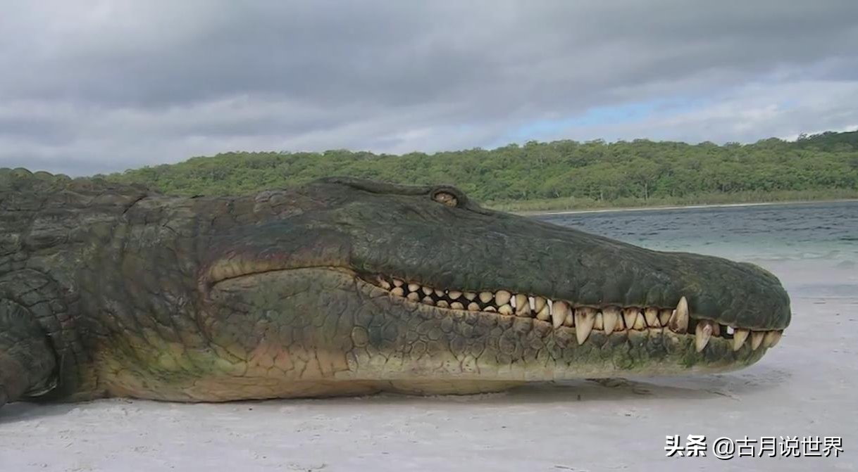 Inventory 15 kinds of prehistoric strange and huge creatures, one is ...