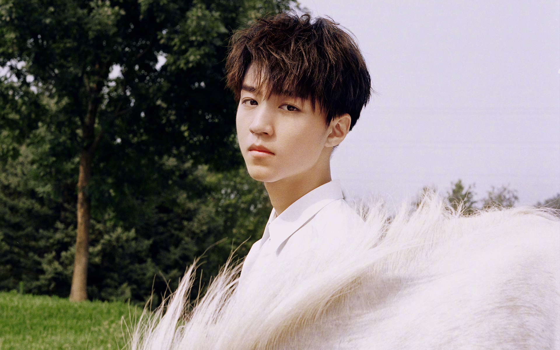 Big entertainment news: Wang Junkai, Zhao Liying, Zhou Shen, Hou ...