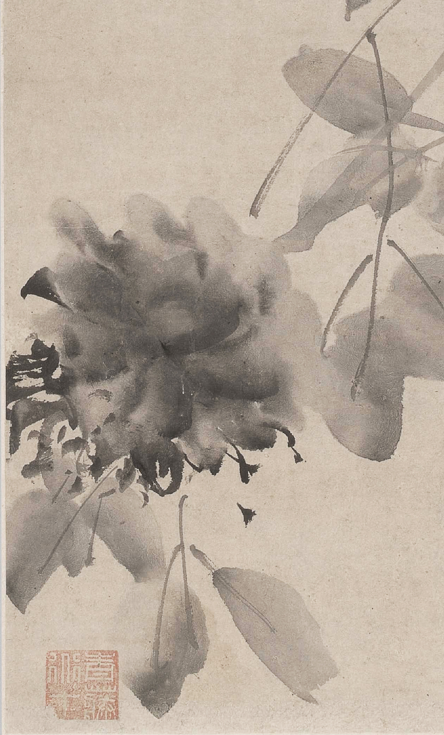 The ink peony of Ming Dynasty painter Xu Wei is unprecedented - iNEWS